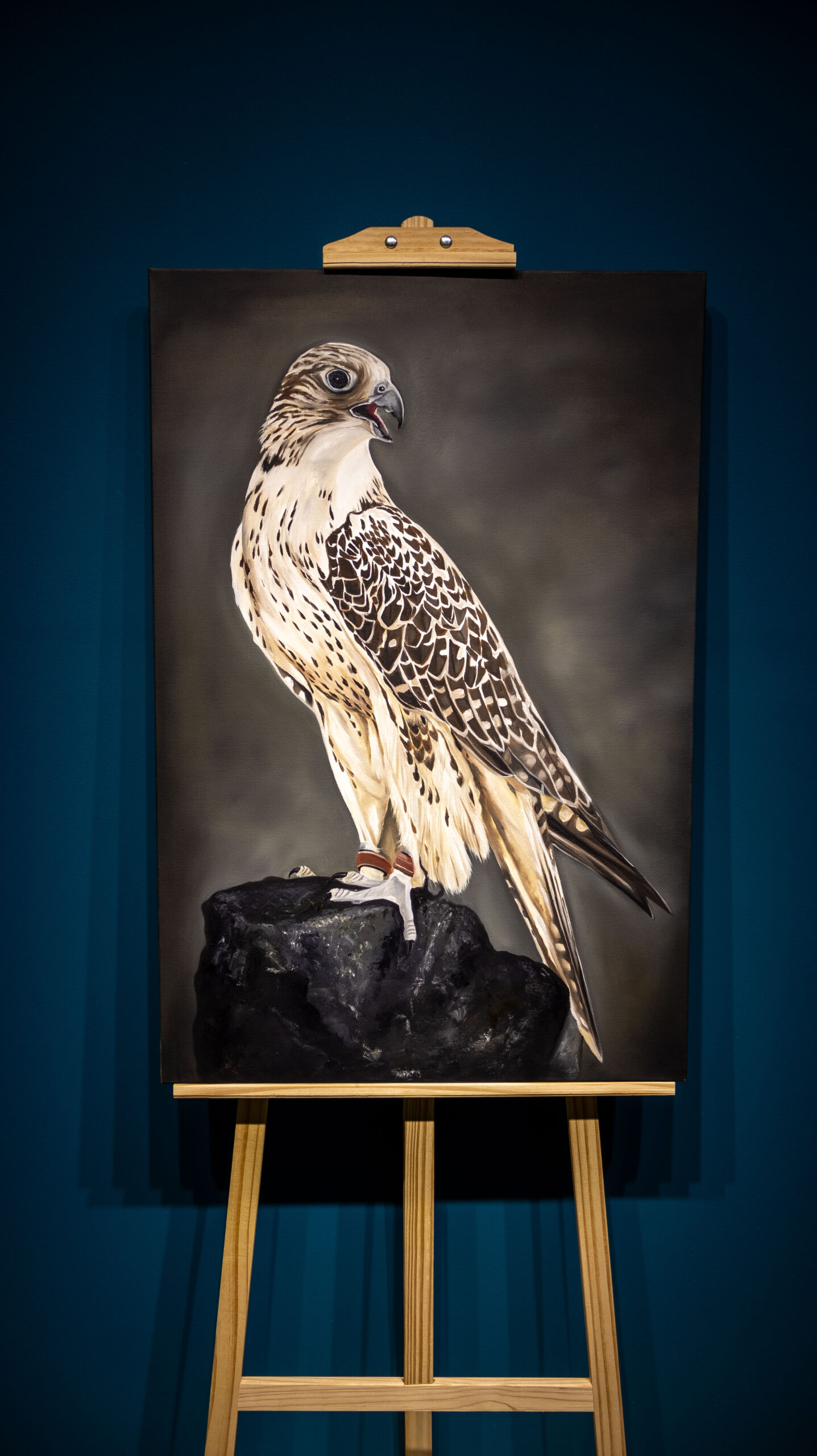 Benjamin Moore Qatar – Sendian Group